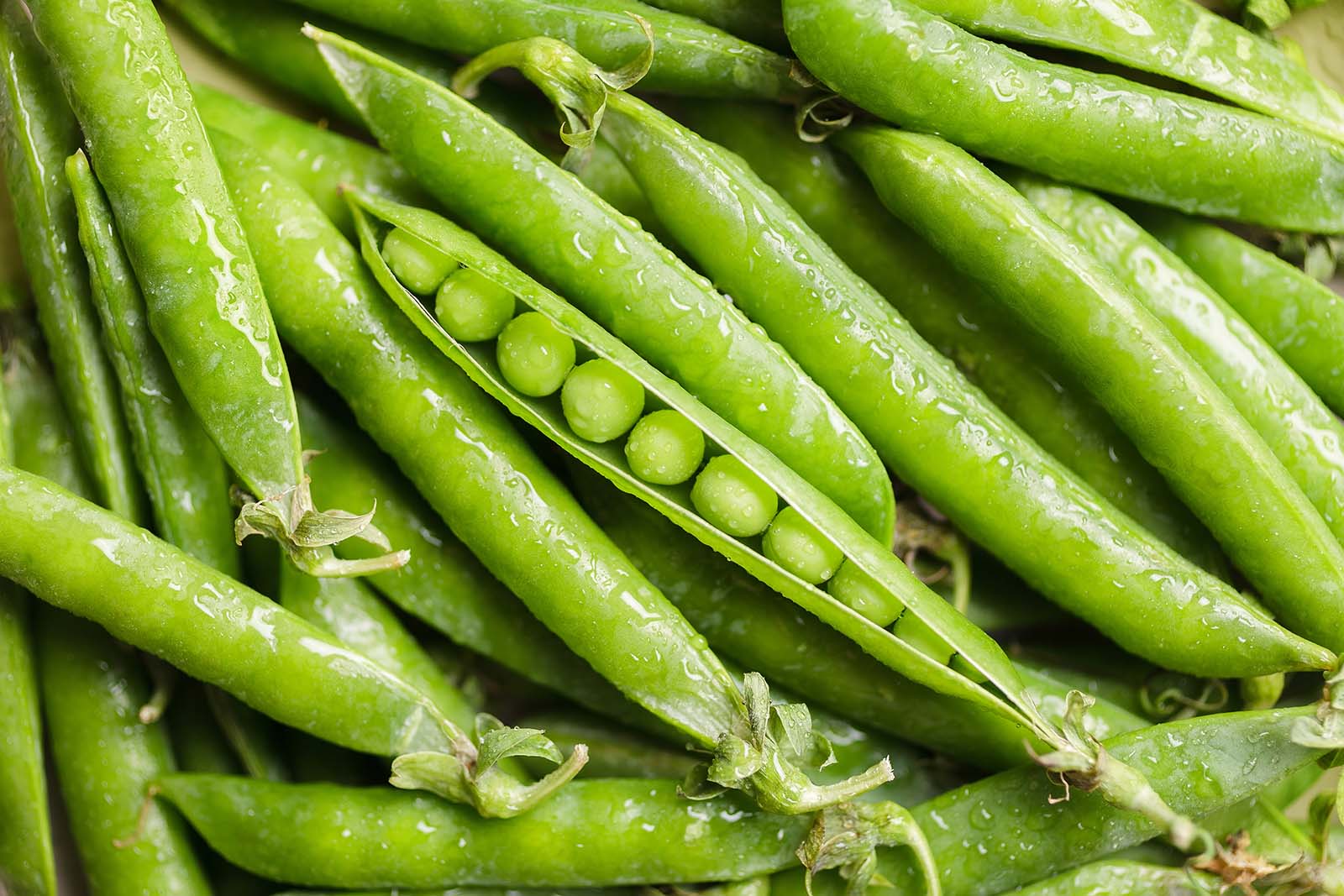 Lysin: Alles zu der essentiellen Aminosäure I Spacegarden